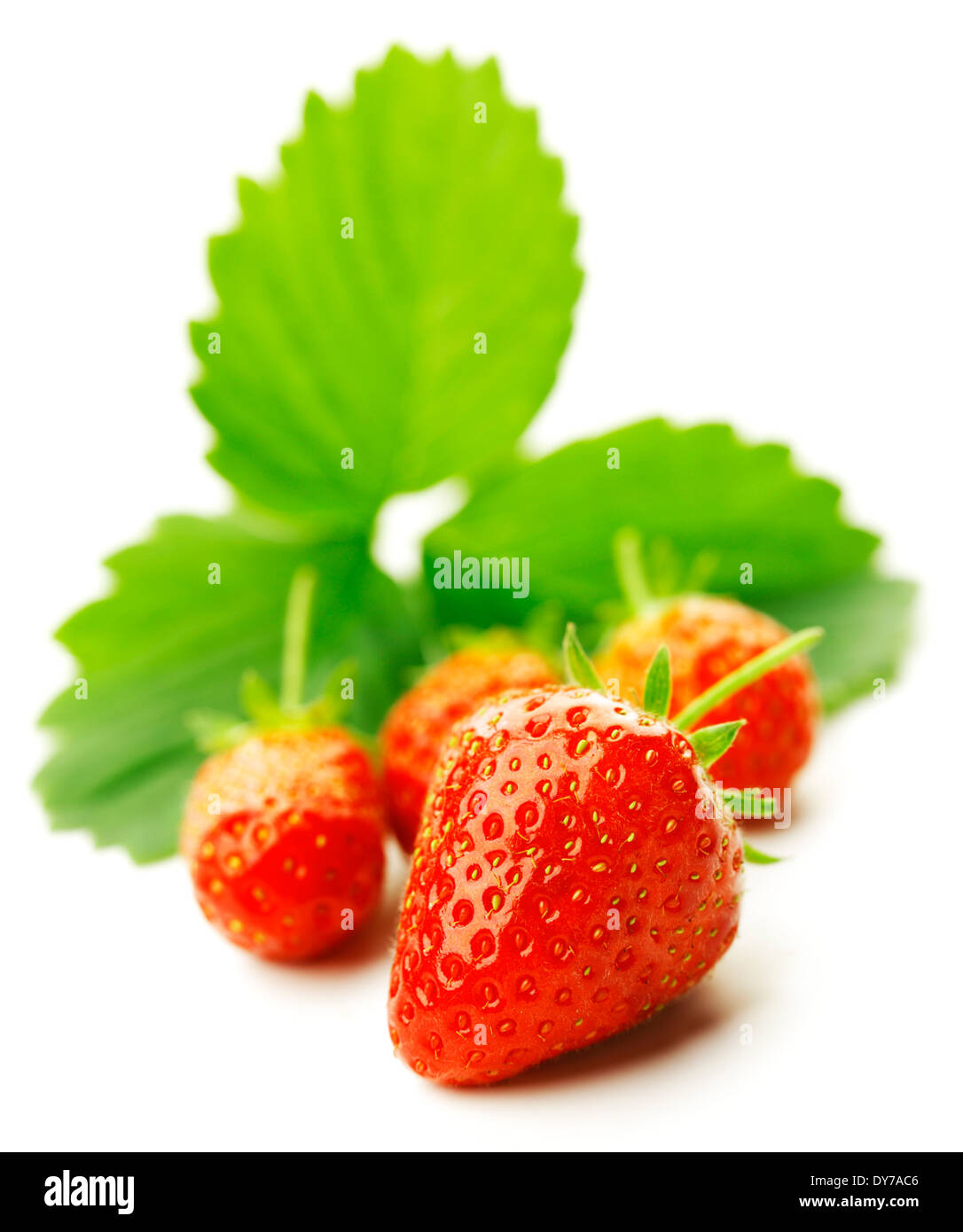 Strawberry with leaves isolated on white background Stock Photo - Alamy