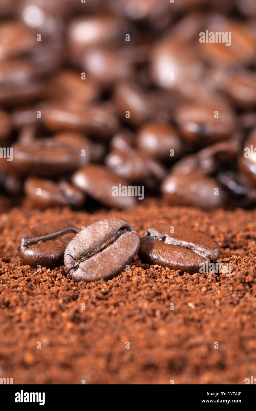 Close up shot of coffee beans on coffee powder with shallow depth of ...