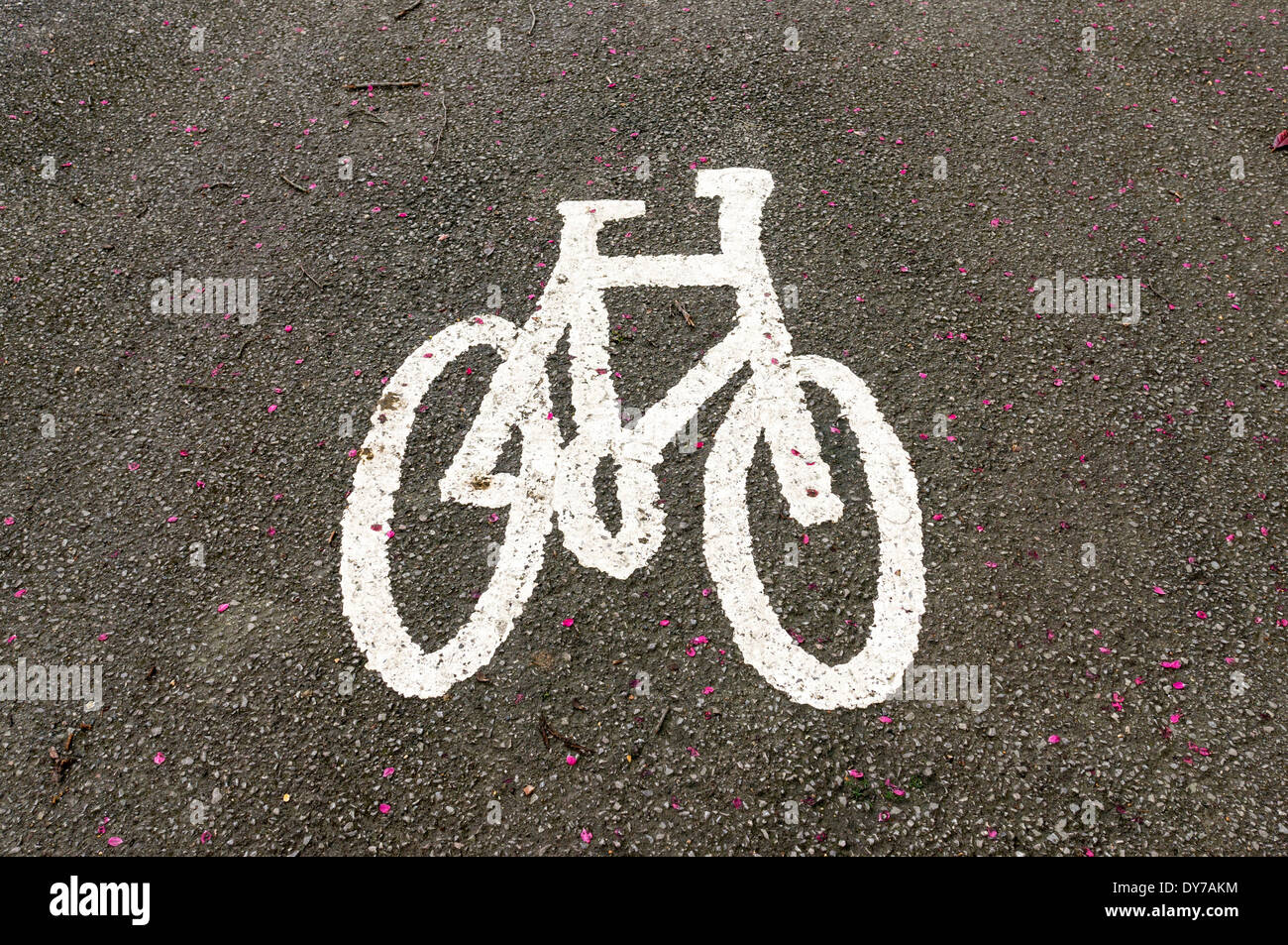 Cycle sign painted on road surface hi-res stock photography and images ...