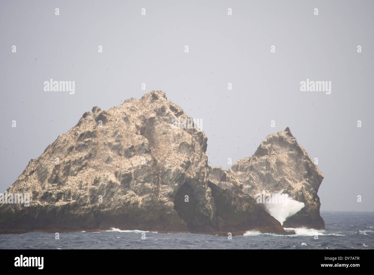 Shag Rocks, extremely remote islands between South Georgia and ...
