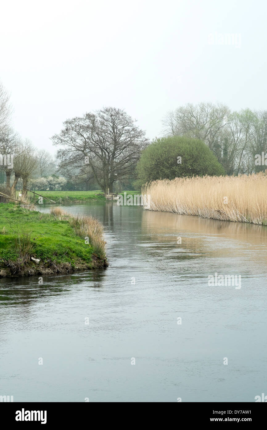 Nadder hi-res stock photography and images - Alamy