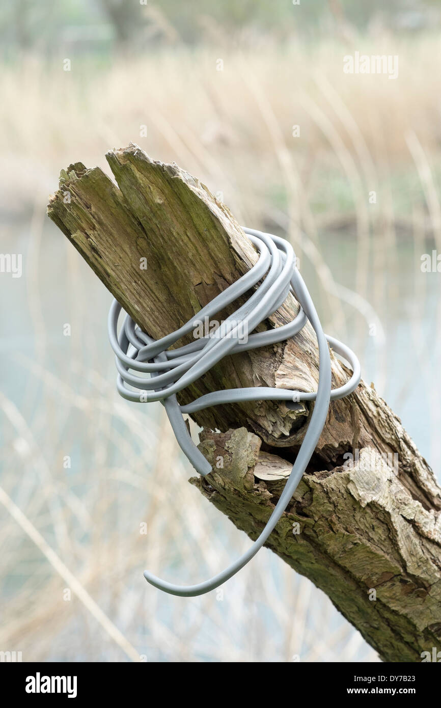 Wire cable around tree hi-res stock photography and images - Alamy