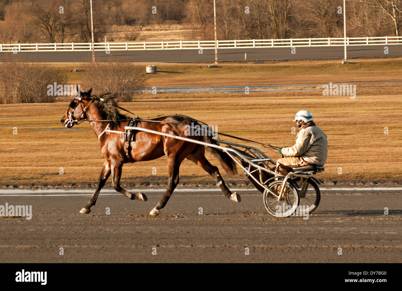 Vernon downs race track hi-res stock photography and images - Alamy