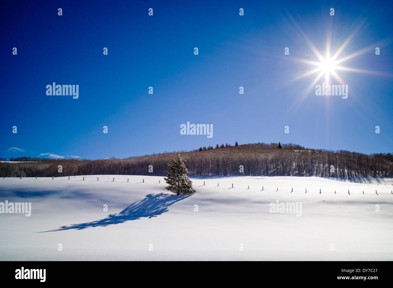 Light and shadow environment hi-res stock photography and images - Alamy