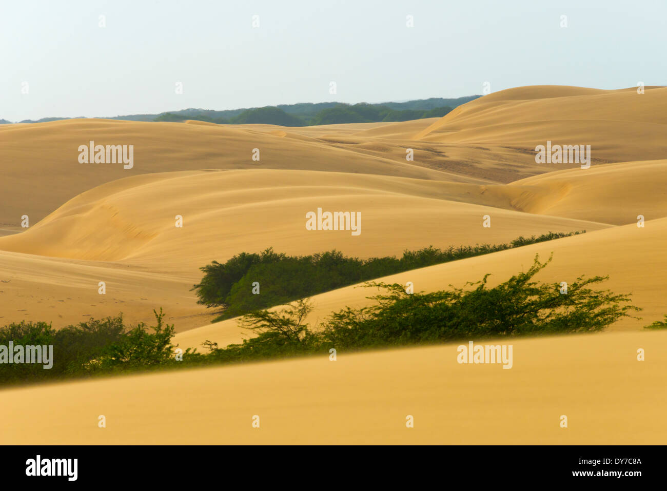 Sand dunes, Medanos de Coro National Park, near Coro, Falcon State ...