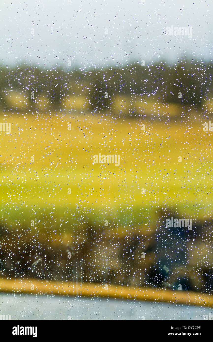 Rainy weather at a golf course has left rain drops on the glass surface ...