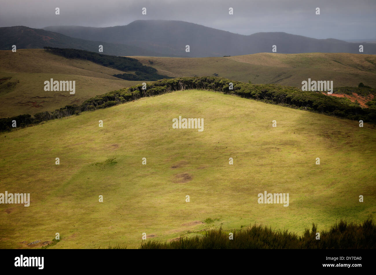 Denuded trees hi-res stock photography and images - Alamy