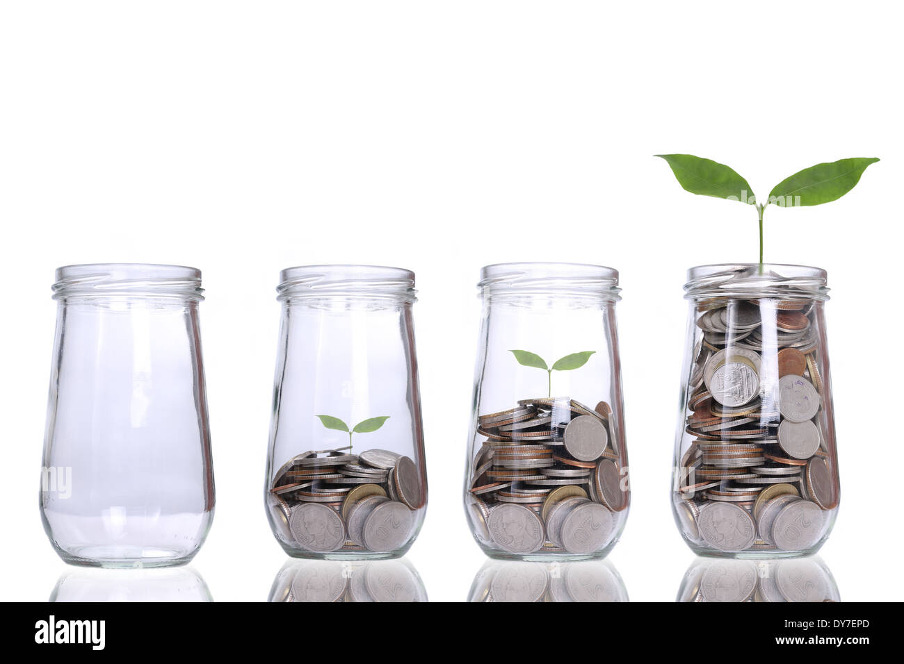 Growing plant step Stock Photo - Alamy