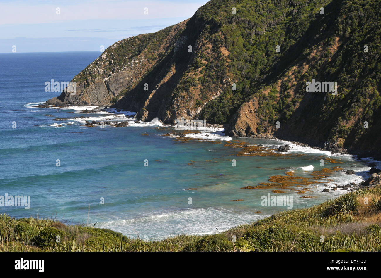 Coast at Nugget Point Lighthouse trail, Catlins Coast, South island ...