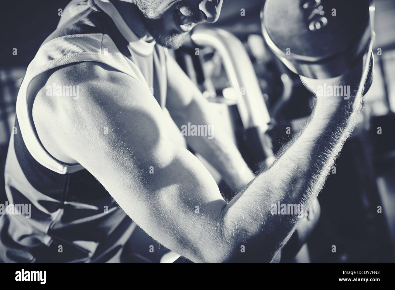 Muscularity hi-res stock photography and images - Alamy