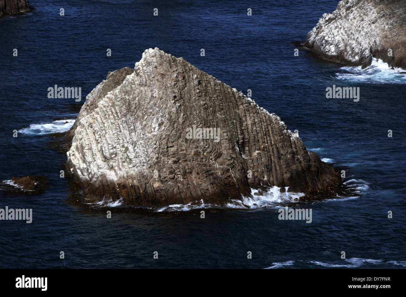 Green algae deposits hi-res stock photography and images - Alamy