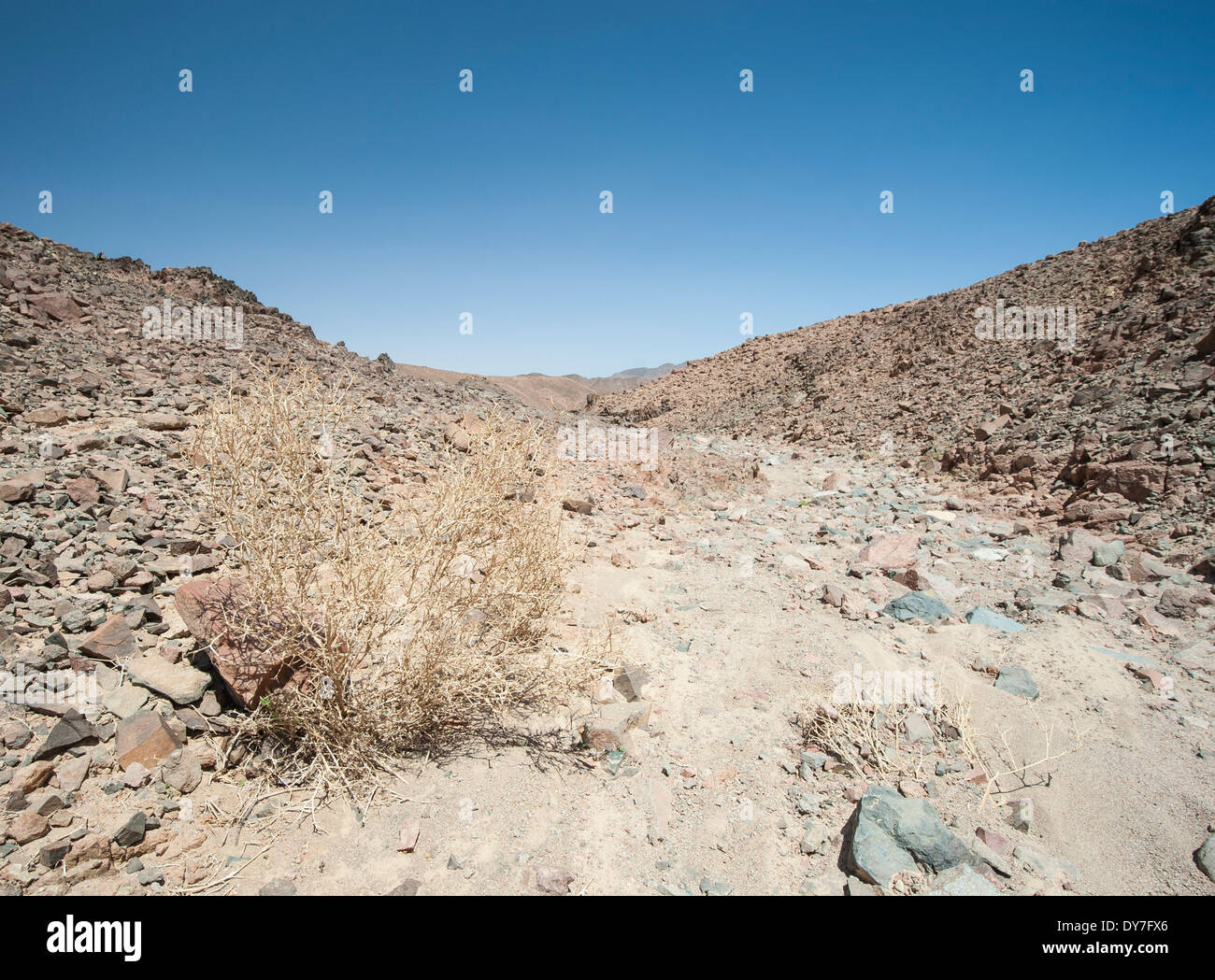 Rocky mountain slope landscape in an arid desert environment Stock ...