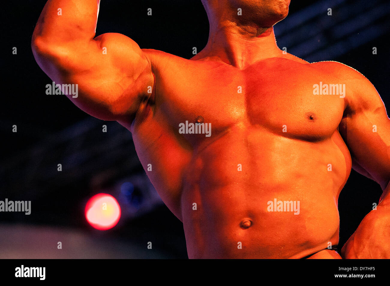 Detail of a male bodybuilder during the fitness fair FIBO in Cologne ...