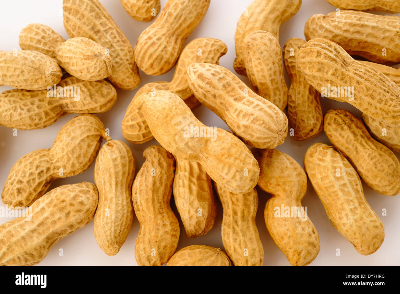 Peanut bean peanuts hi-res stock photography and images - Alamy