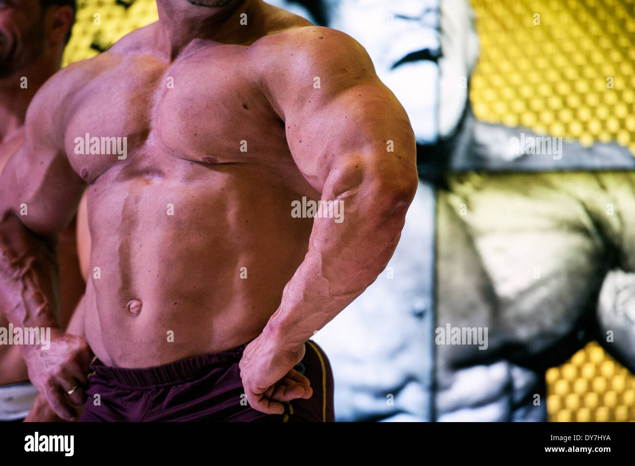 Detail of a male bodybuilder during the fitness fair FIBO in Cologne ...