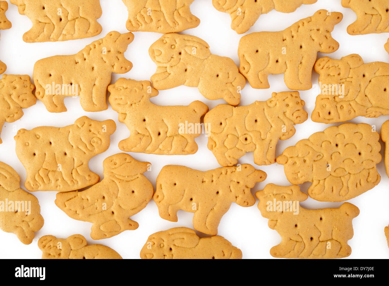 animal shaped cracker Stock Photo - Alamy