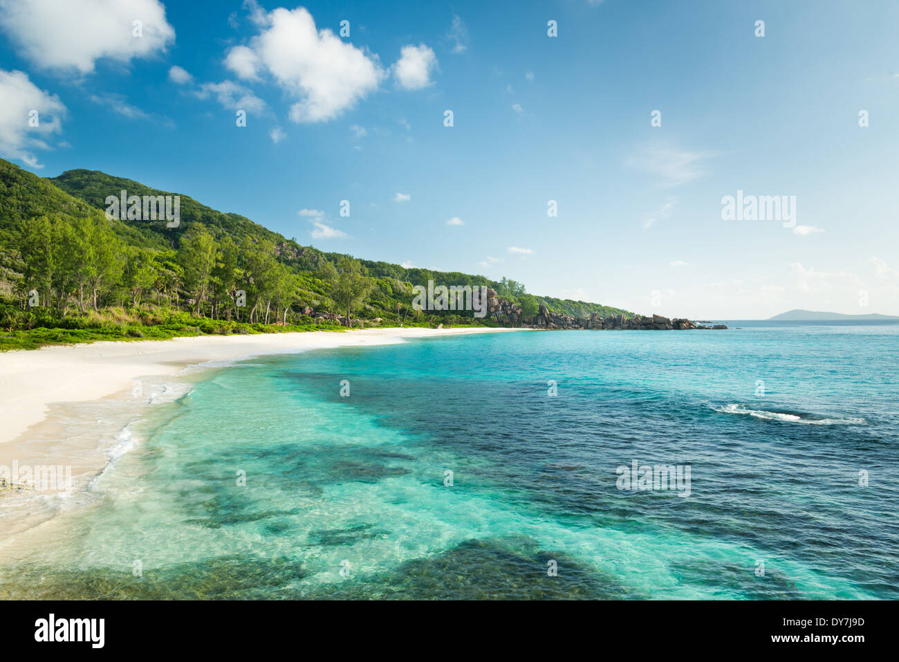 tropical beach with turquoise water Stock Photo - Alamy