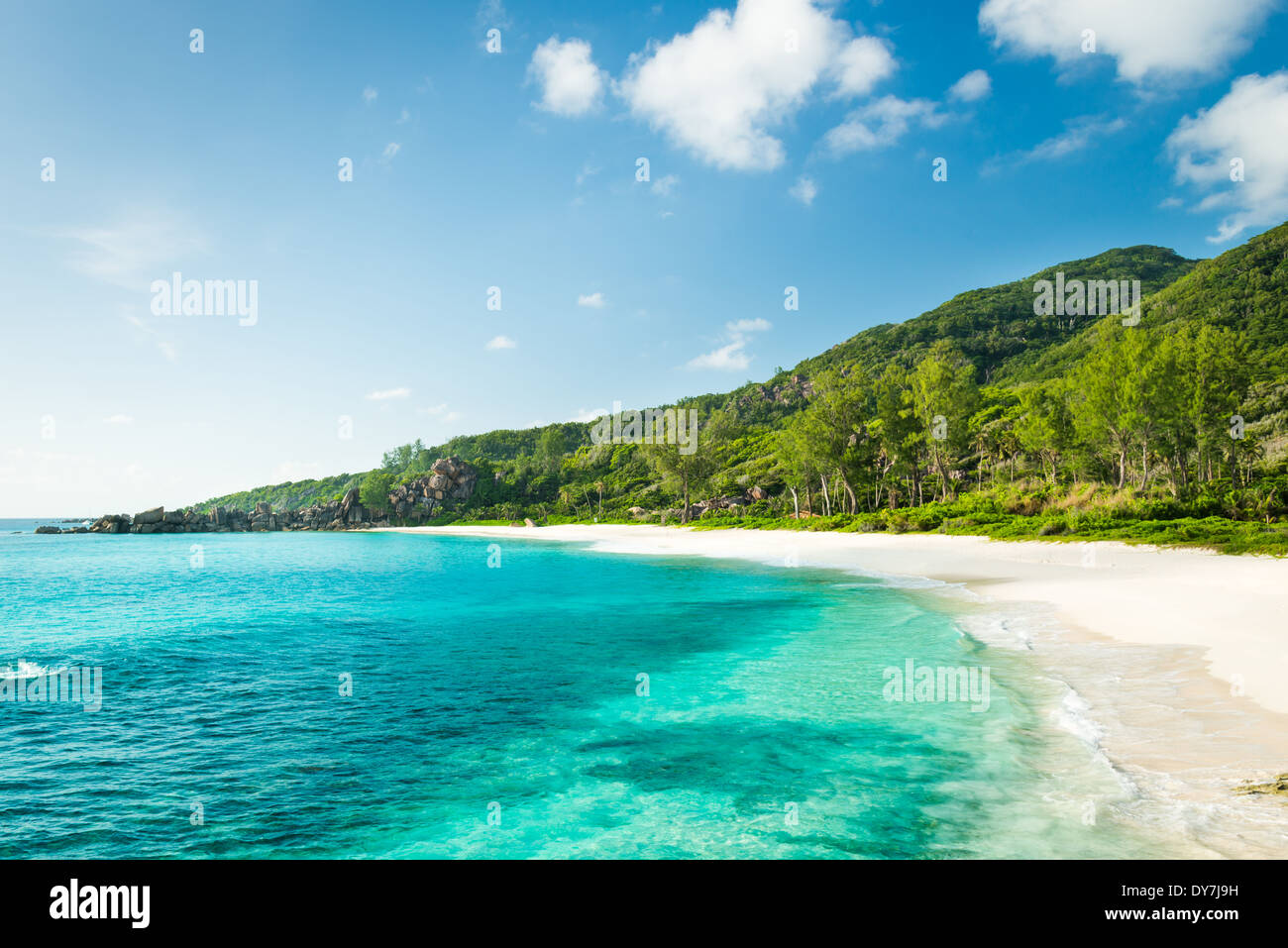 tropical beach with turquoise water Stock Photo - Alamy
