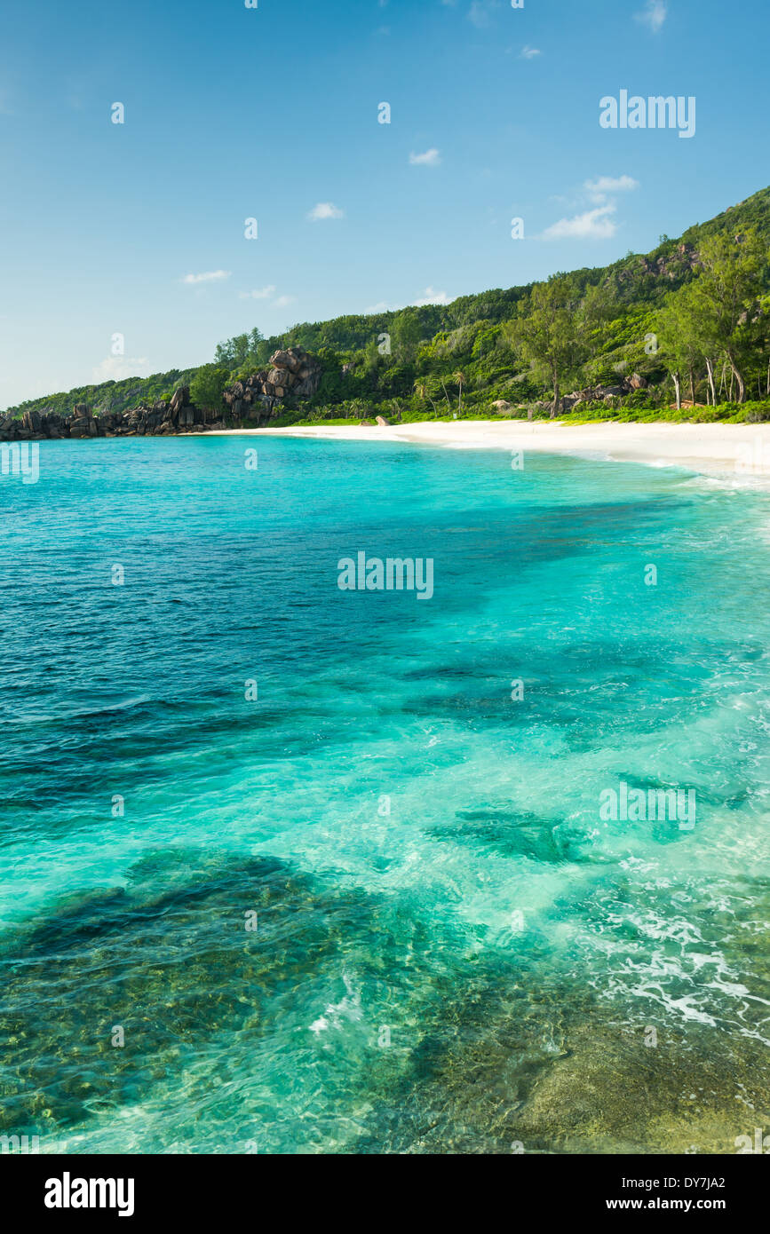 tropical beach with turquoise water Stock Photo - Alamy