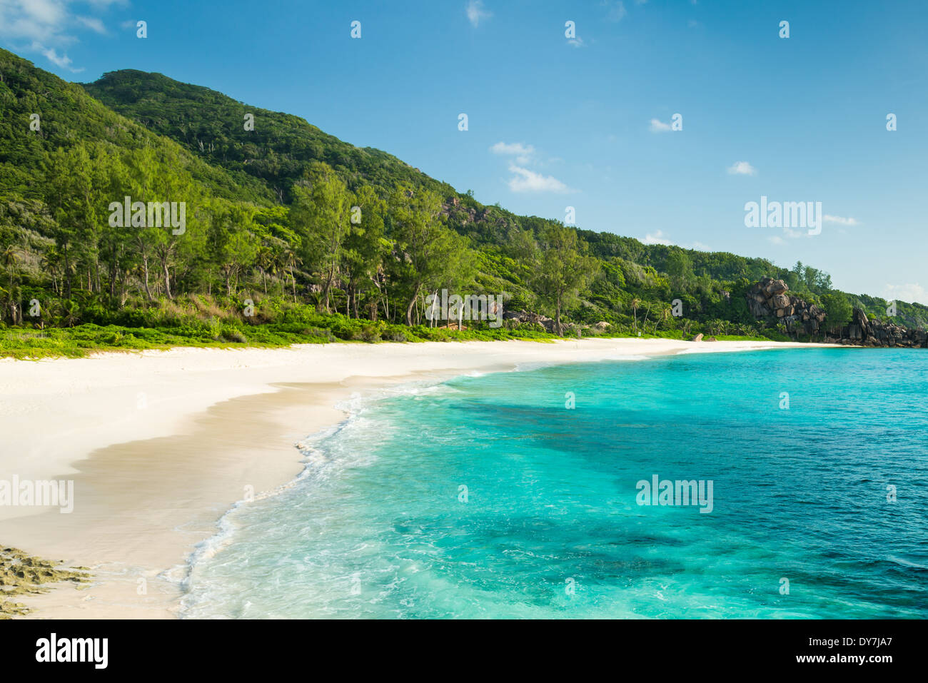tropical beach with turquoise water Stock Photo - Alamy