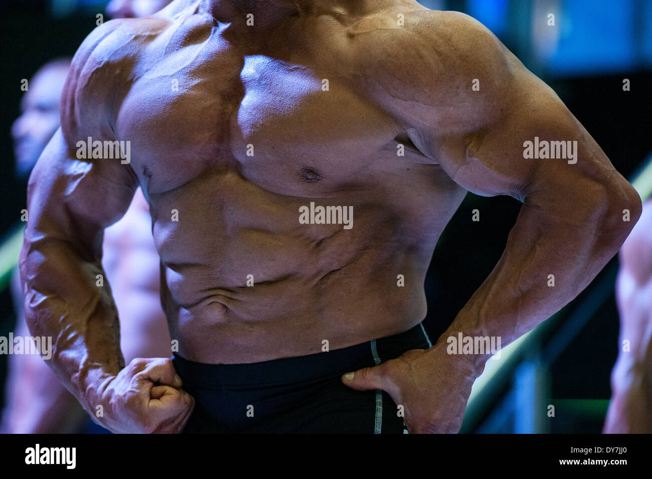 Detail of a male bodybuilder during the fitness fair FIBO in Cologne ...