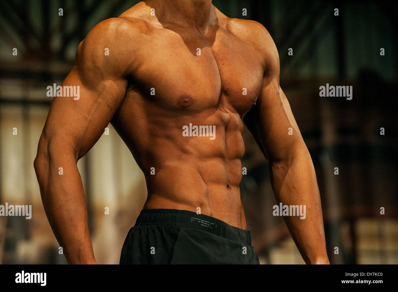 Bodybuilder bodybuilding show fibo power hi-res stock photography and ...