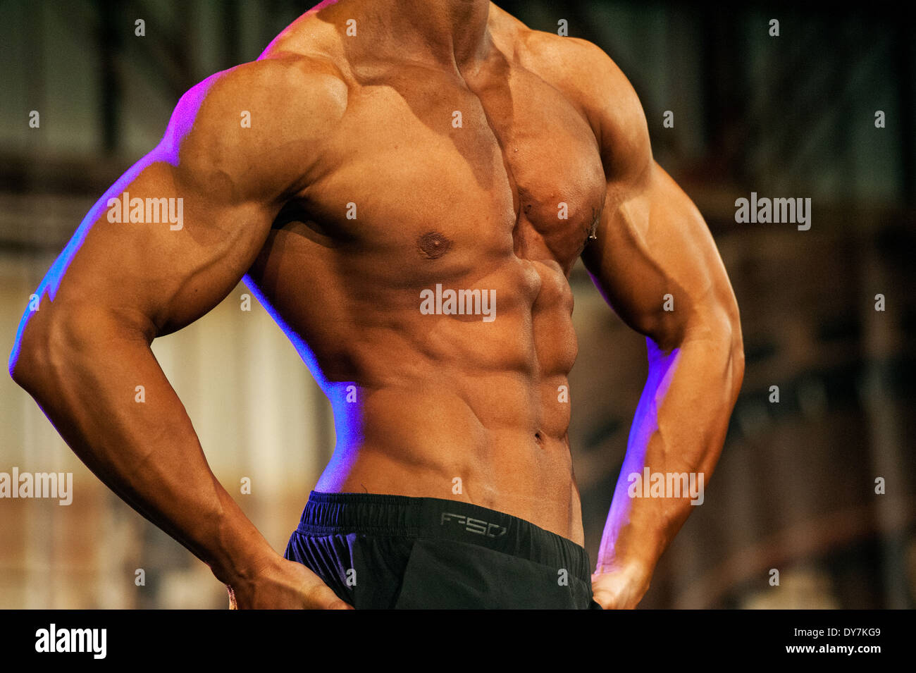 Detail of a male bodybuilder during the fitness fair FIBO in Cologne ...
