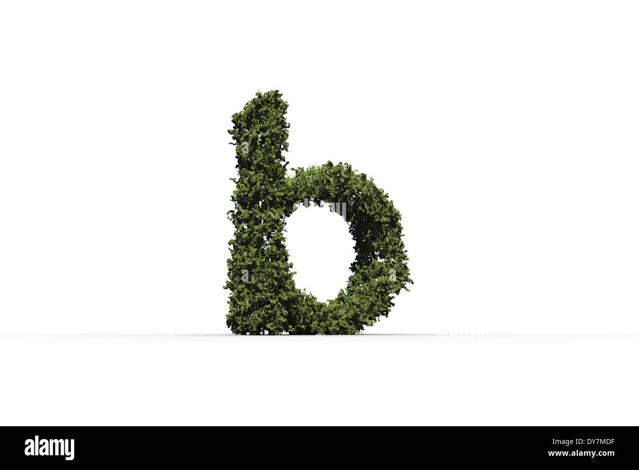 Letter b leaves hi-res stock photography and images - Alamy