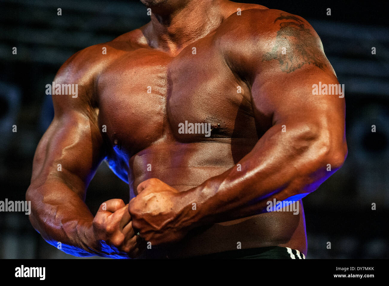 Detail of a male bodybuilder during the fitness fair FIBO in Cologne ...