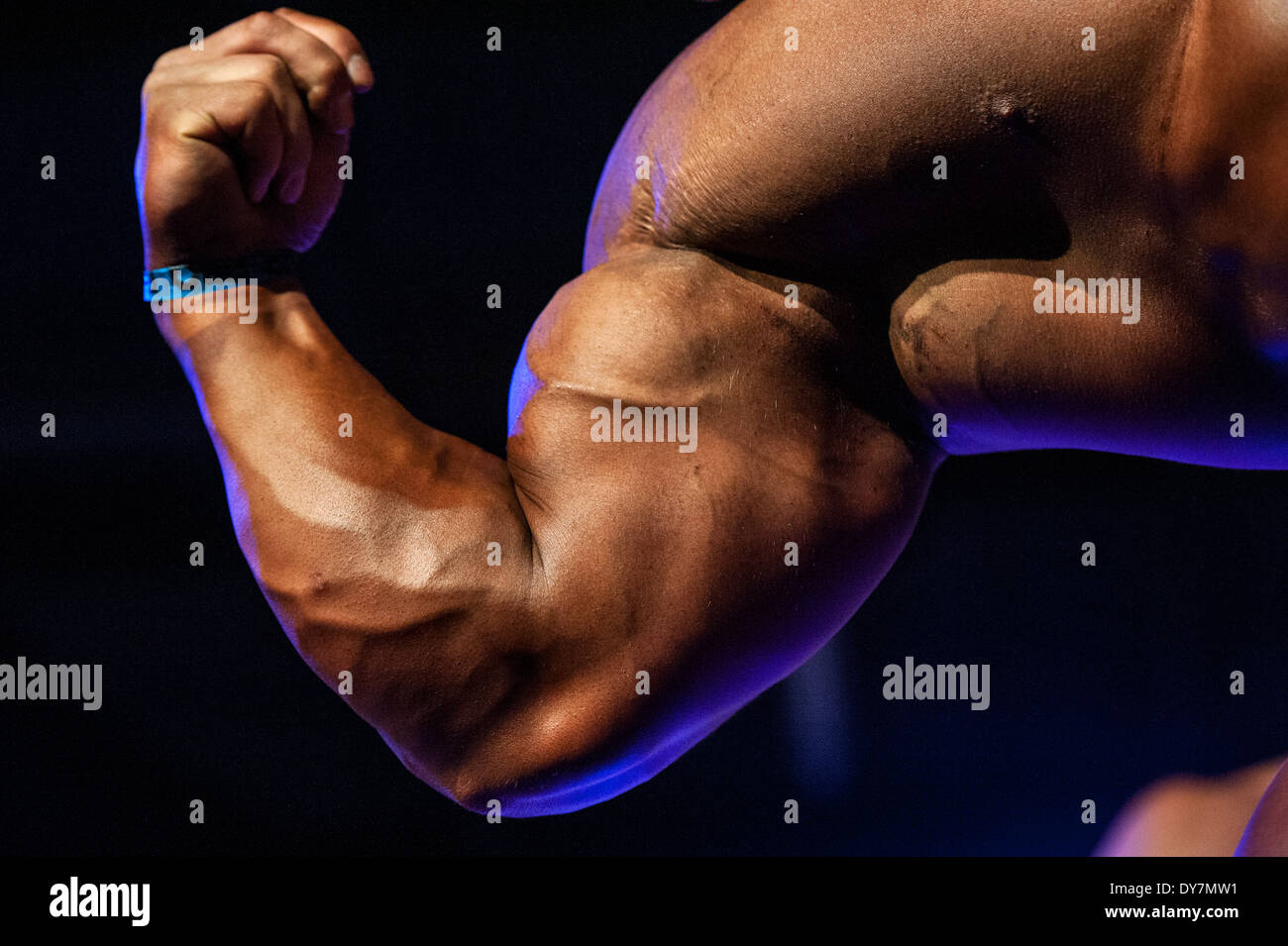 Bodybuilder bodybuilding show fibo power hi-res stock photography and ...