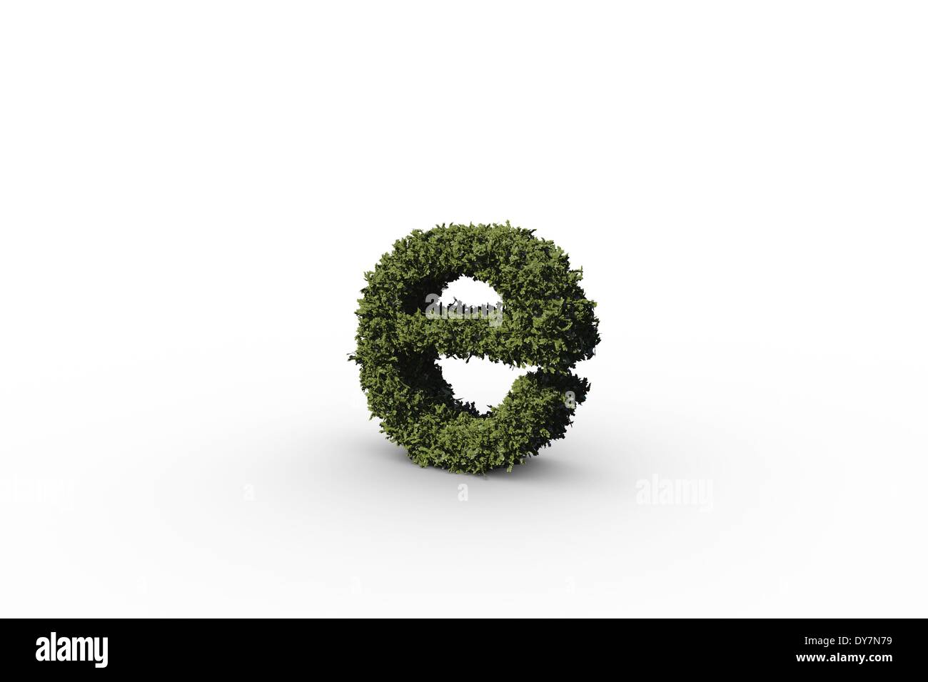 Bush e Cut Out Stock Images & Pictures - Alamy