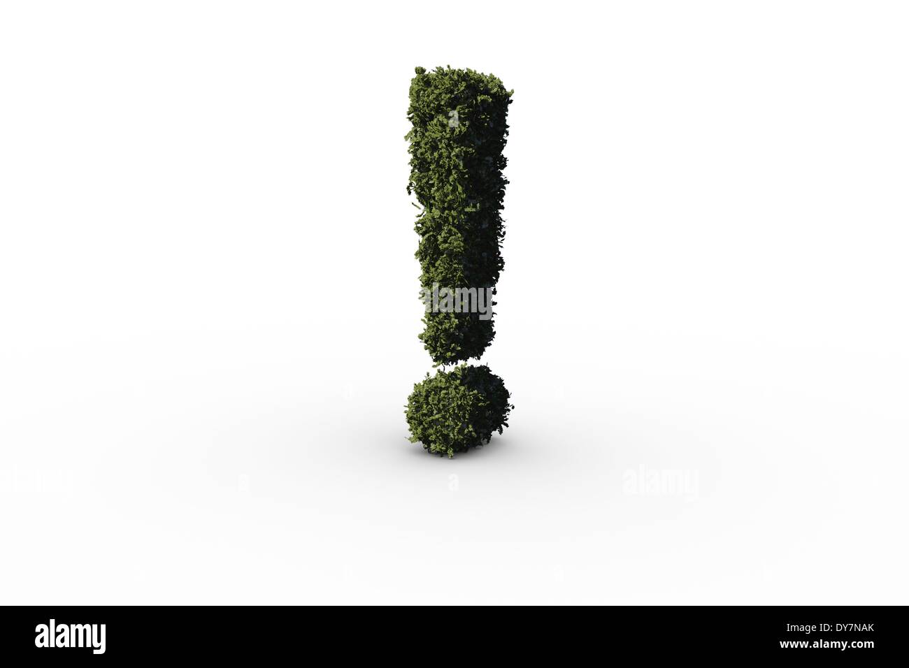 Exclamation leaf green leaves hi-res stock photography and images - Alamy