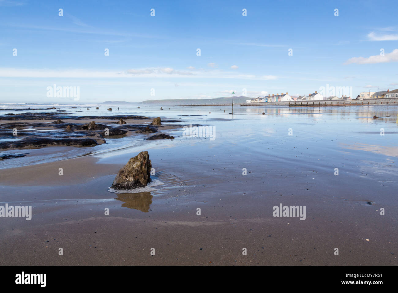 Sunken ancient Bronze Age forest at Borth beach, mid Wales Stock Photo ...