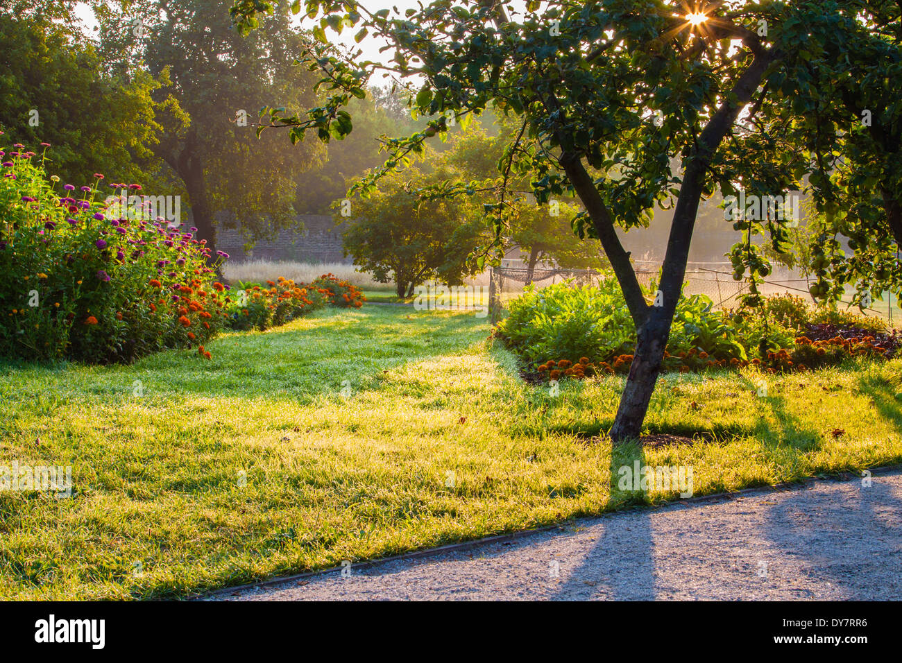 Early morning scene across flower and vegetable beds within walled ...