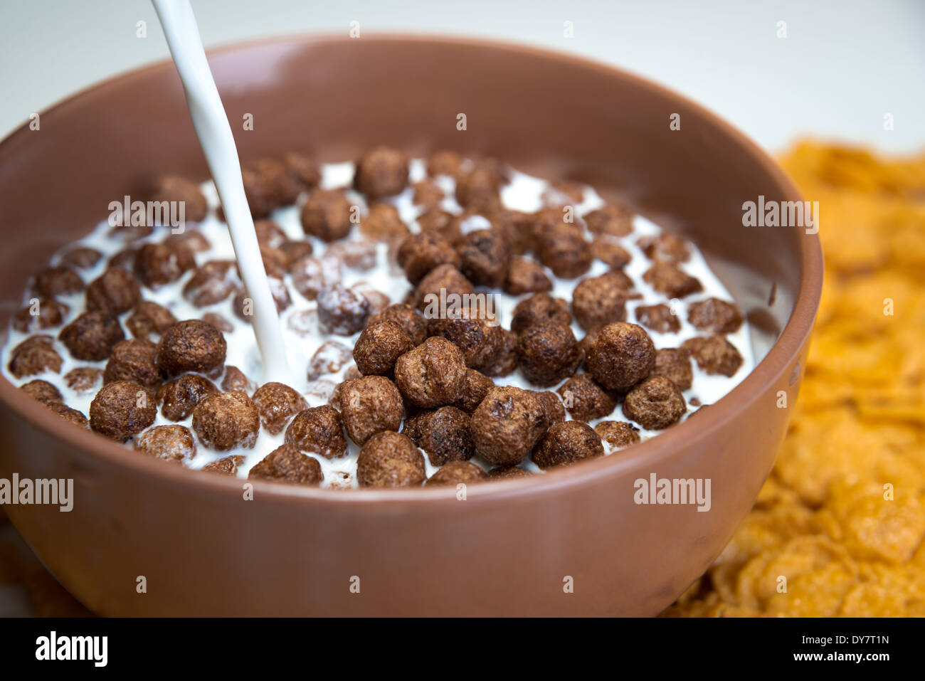 Chocolate corn flakes Stock Photo - Alamy
