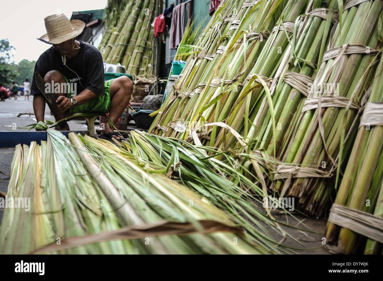 Manila, Philippines. 9th Apr, 2014. A man chops palm fronds to be used ...