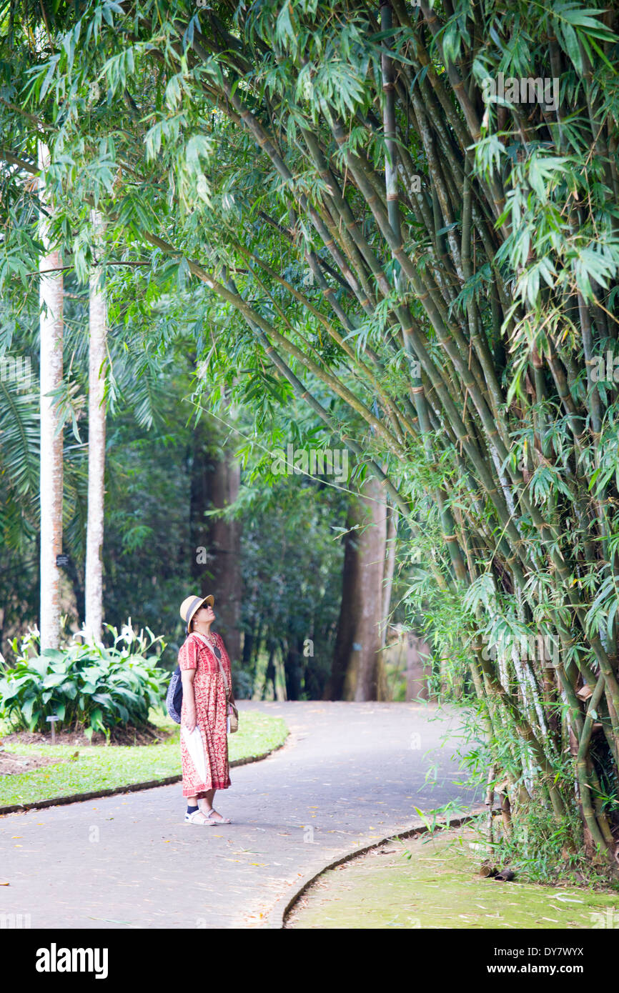Korean tourist at Royal Botanical Gardens, Peradeniya, Kandy, Sri Lanka ...