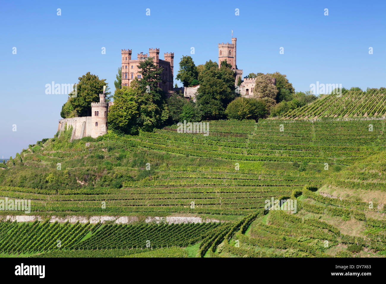 Schloss Ortenberg, in Offenburg, Black Forest, Baden-Württemberg ...