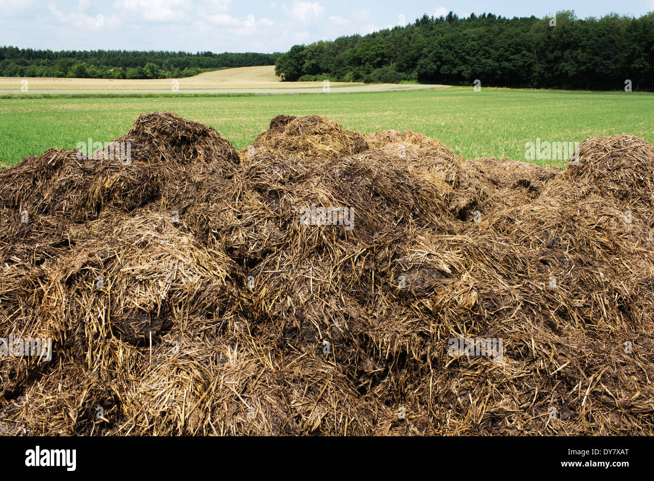 Dung heap hi-res stock photography and images - Alamy