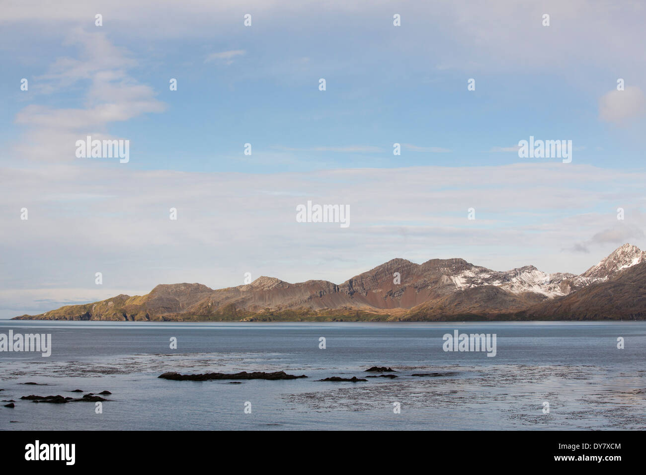 Scenery near Grytviken on south Georgia in the Southern Ocean Stock ...