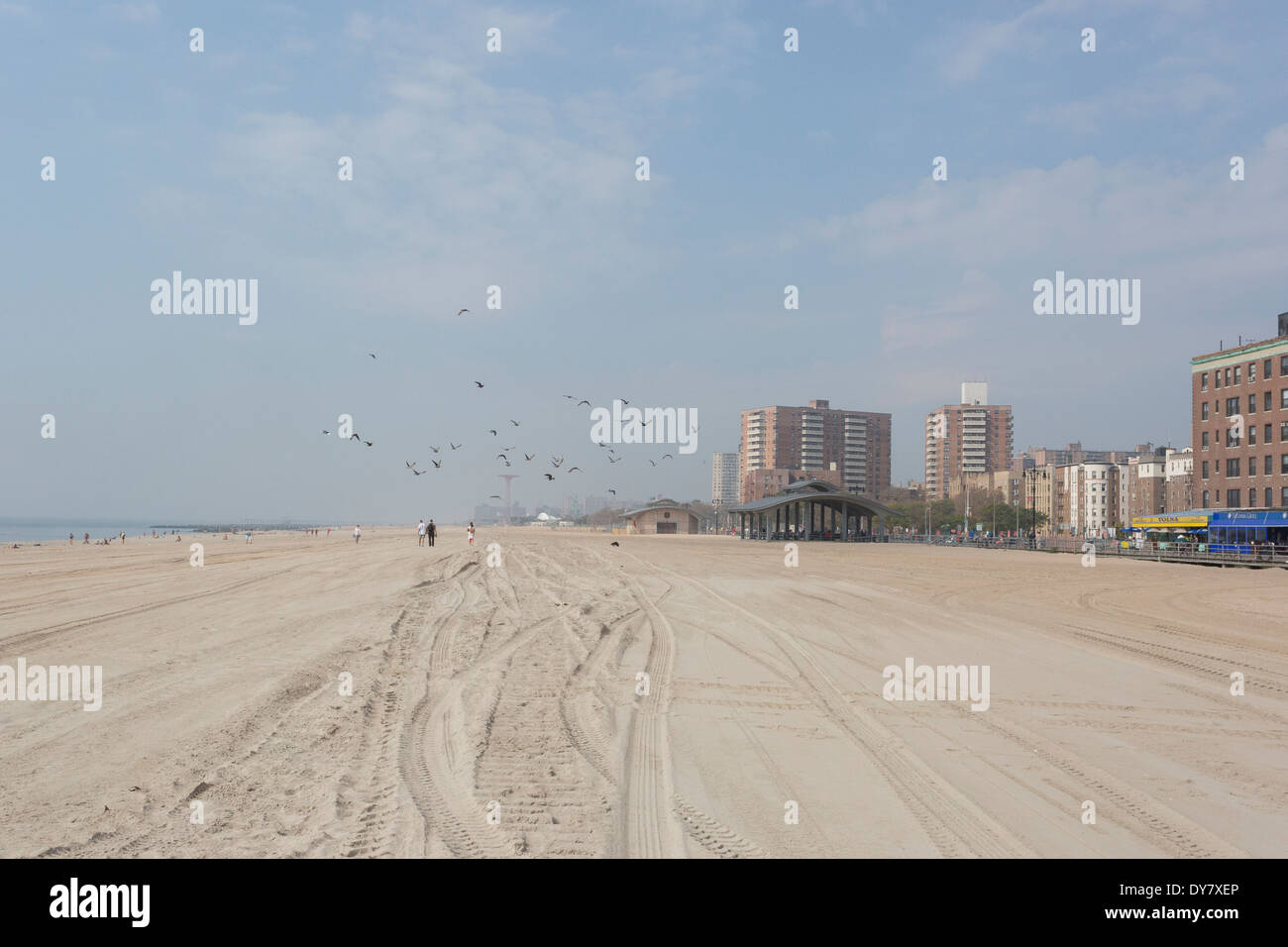 Coney Island beach flock of birds flying Stock Photo - Alamy