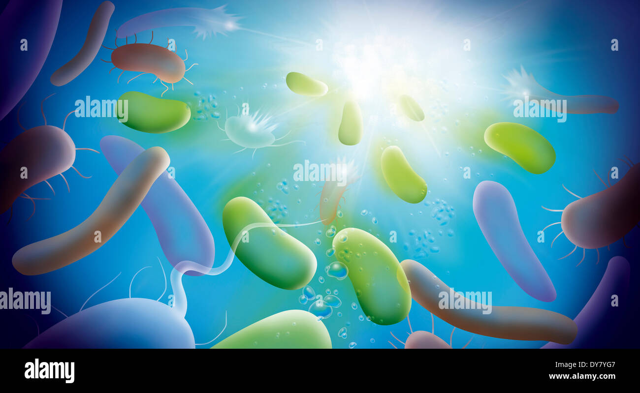 Evolution hi-res stock photography and images - Alamy