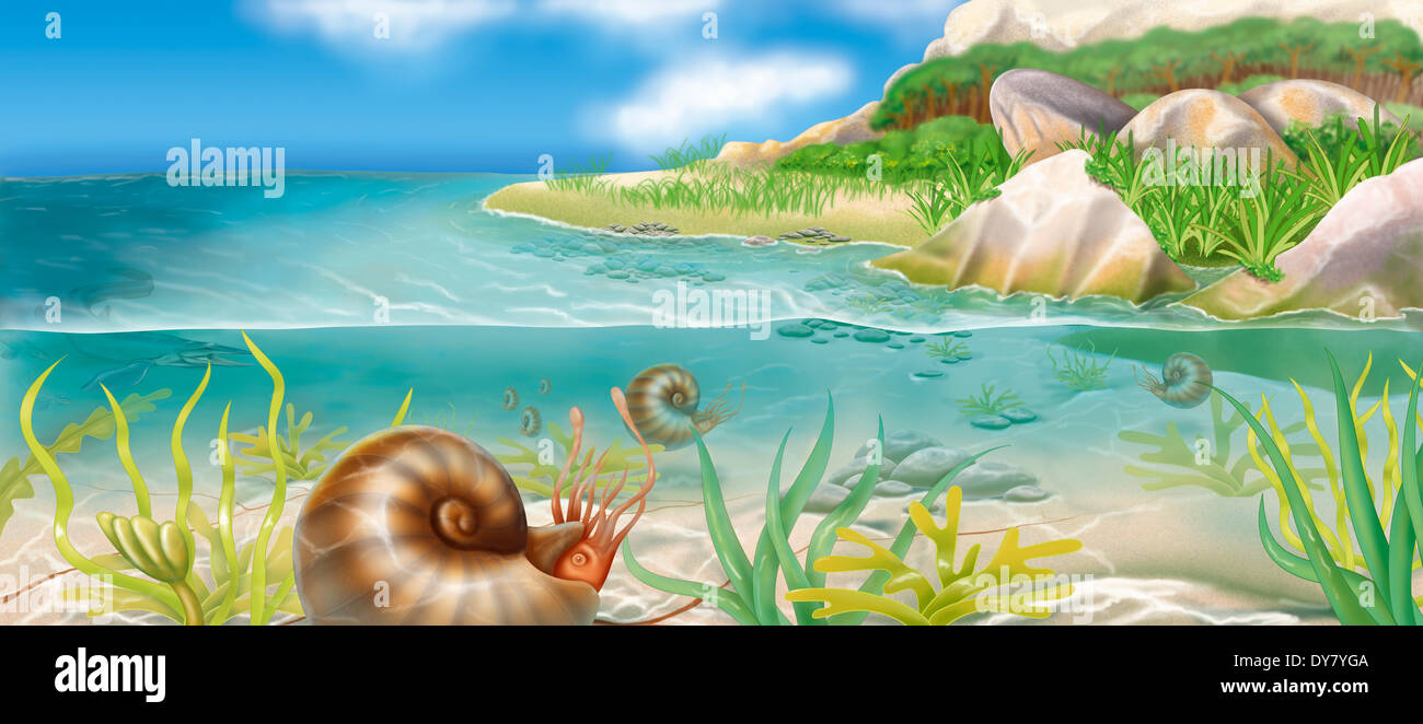 Evolution hi-res stock photography and images - Alamy