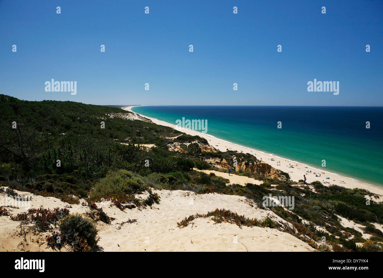 Beach, Atlantic coast, near Melides, Portugal Stock Photo - Alamy