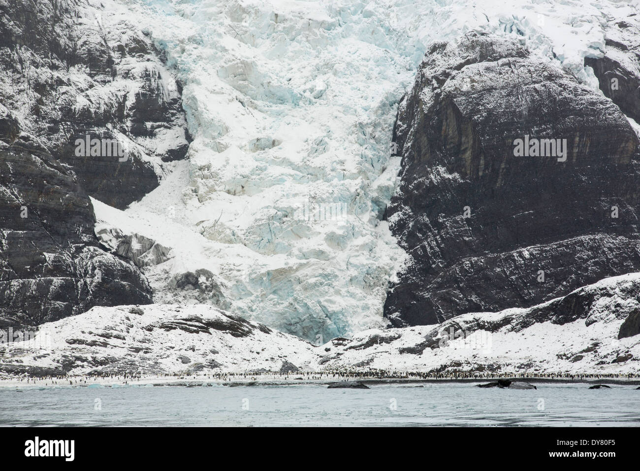 Gold harbor south georgia hi-res stock photography and images - Alamy