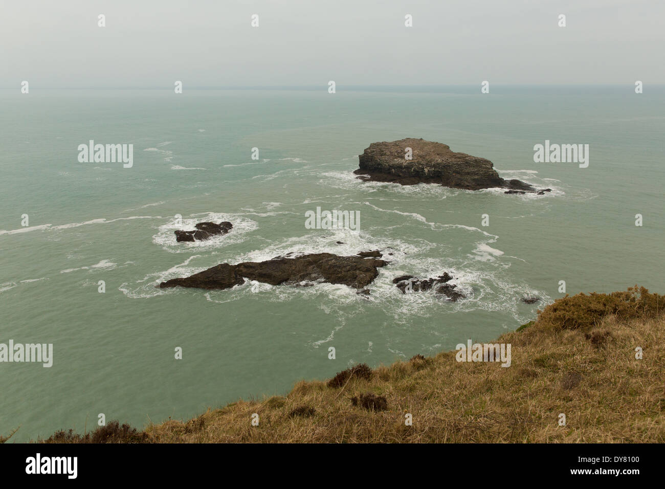 Gull rock portreath hi-res stock photography and images - Alamy