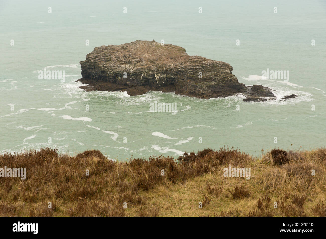 Gull rock portreath hi-res stock photography and images - Alamy