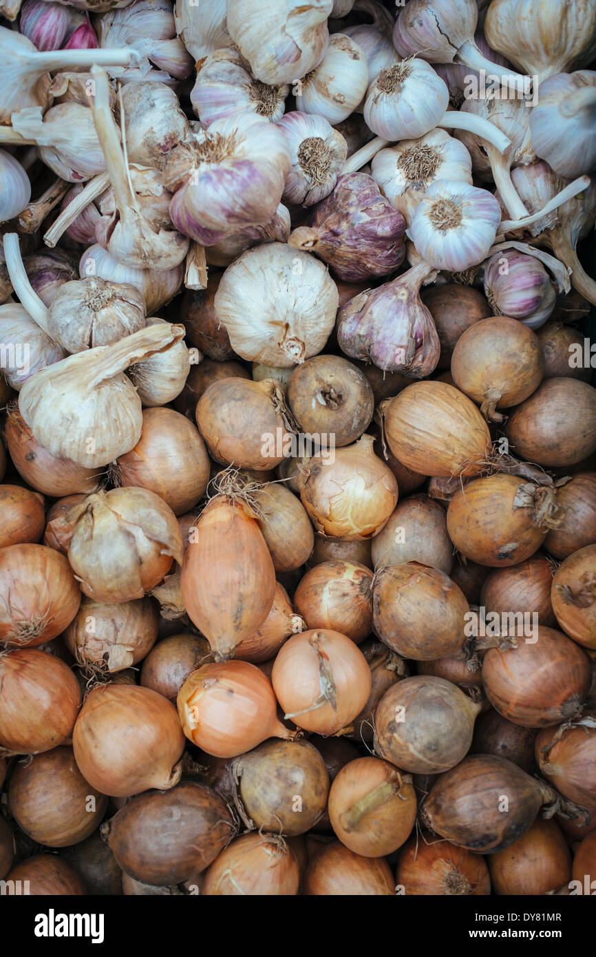 Germany, Baden-Wuerttemberg, Freiburg, vegetable market, Garlic (Allium ...