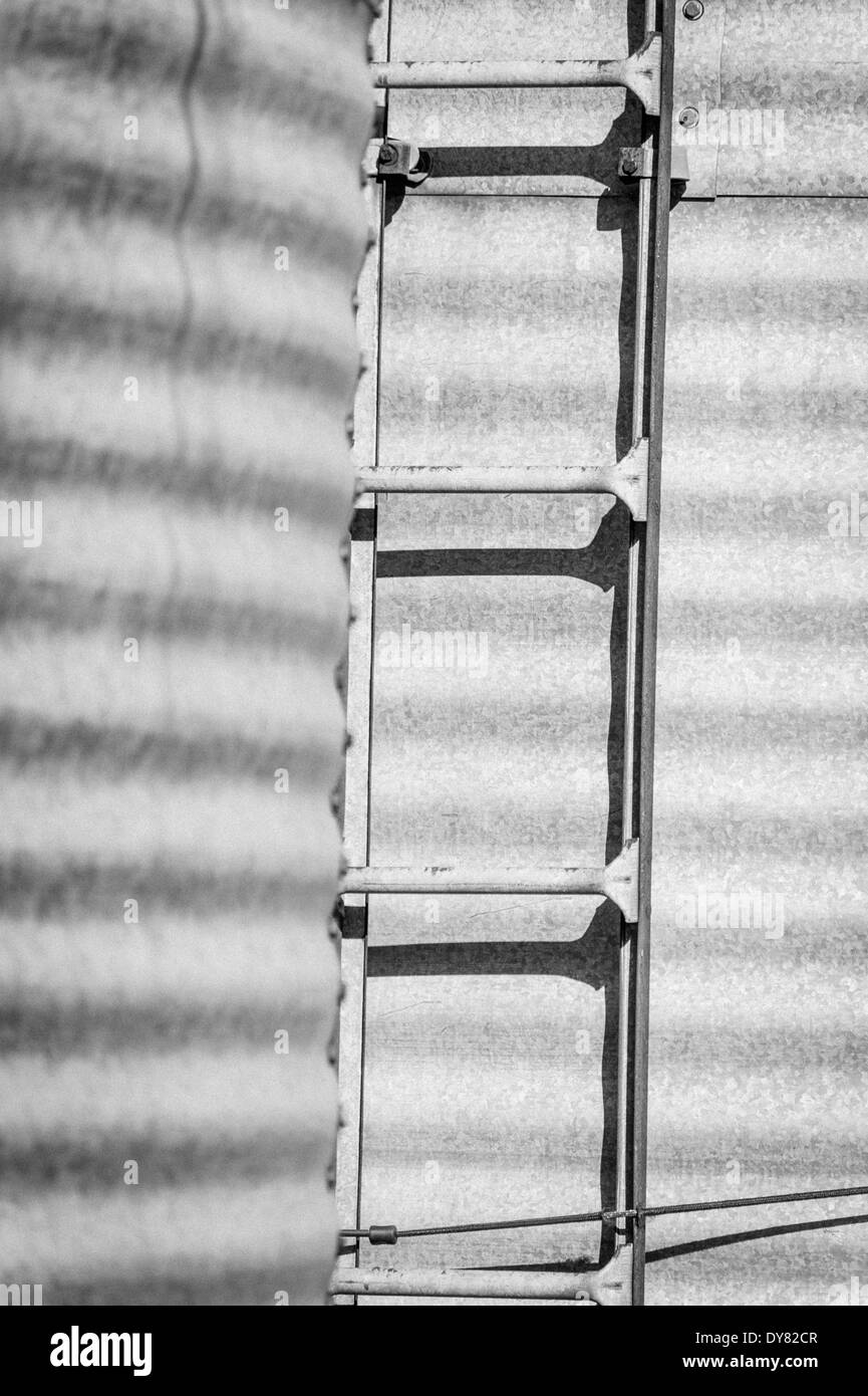 Ladder on the side of old metal grain bin Stock Photo - Alamy