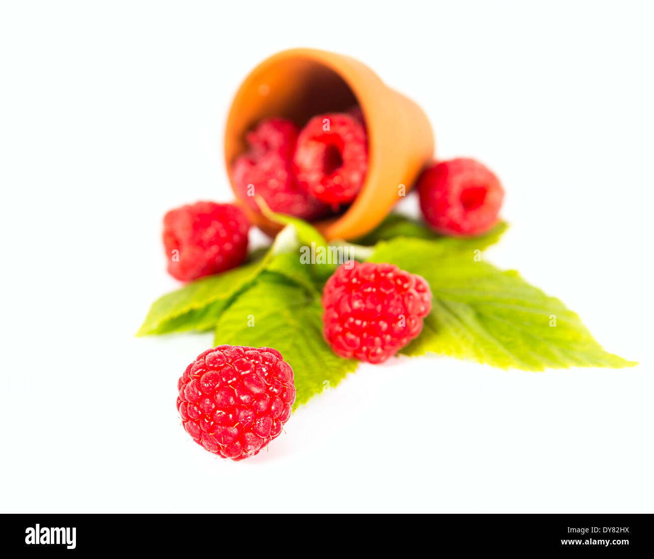 Fresh juicy raspberry on the white background Stock Photo - Alamy